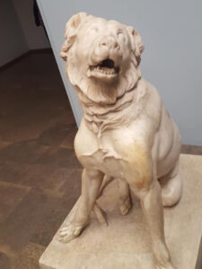 Ancient Rome Live | Daily Life in Ancient Rome | Dogs in Ancient Rome